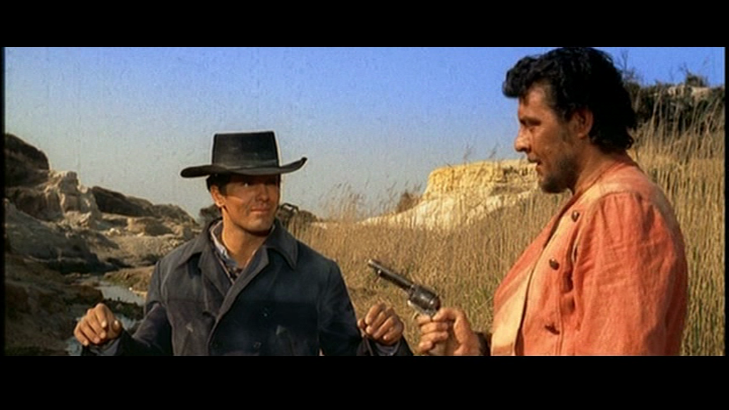 Arizona Colt